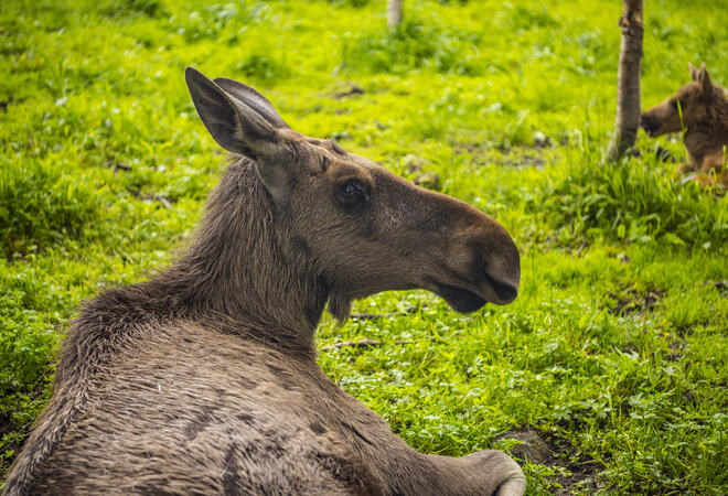 Forside - Bardu kommune